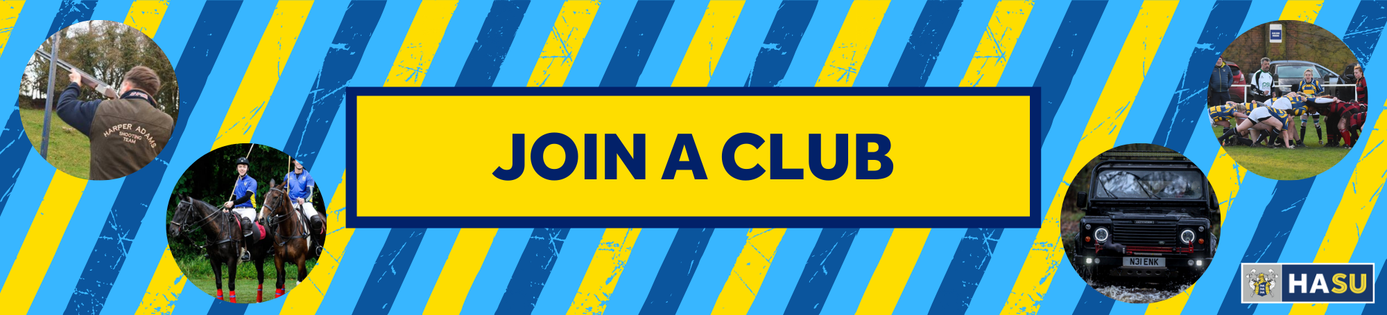 Join a Club